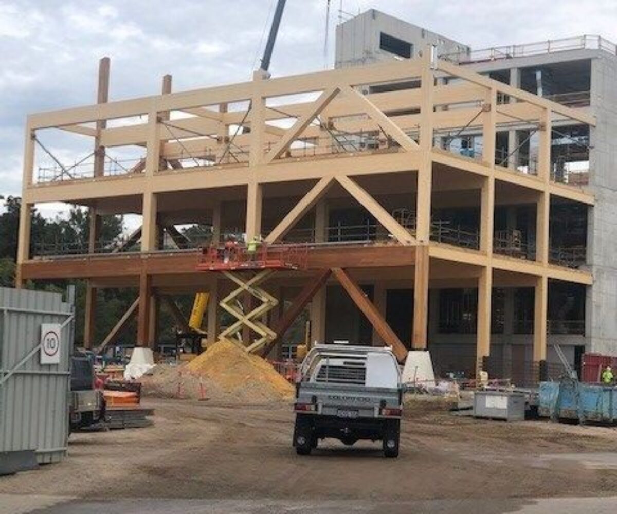 The Emergence of Cross-laminated Timber in the Construction Industry ...