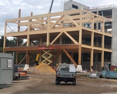 The Emergence of Cross-laminated Timber in the Construction Industry ...