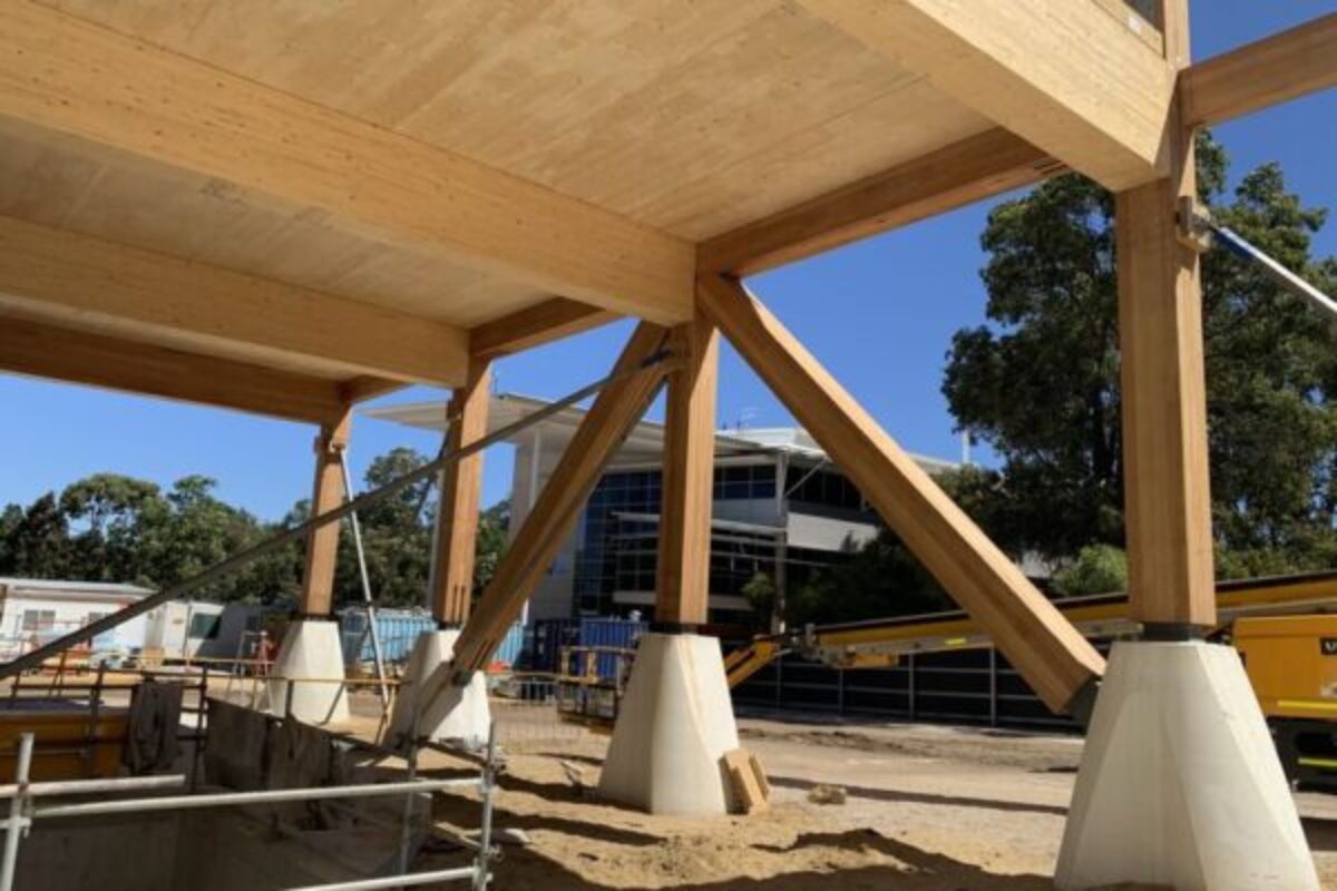 Cross Laminated Timber Trend | Progressive Materials WA